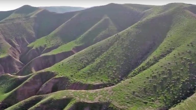 ¡El desierto de Judea reverdece de acuerdo con el profeta Isaías ...
