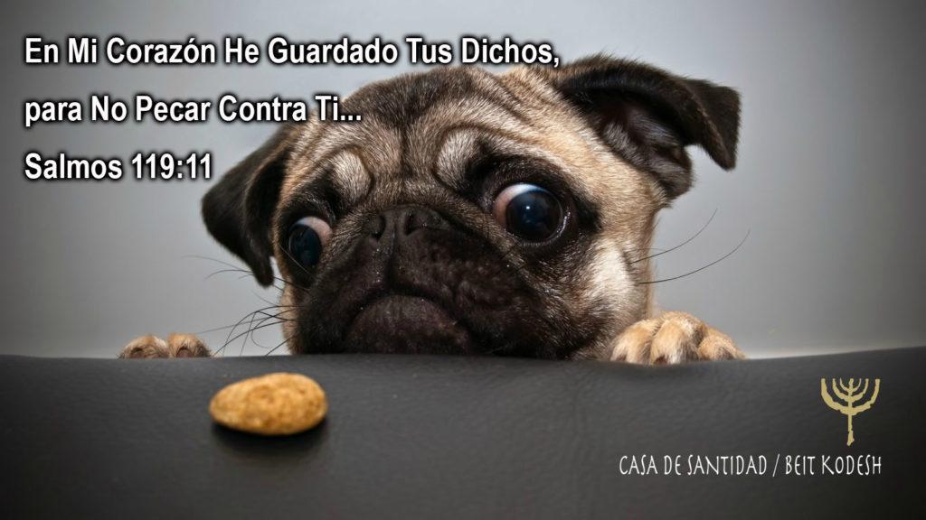 “Para no pecar contra ti” | Ministerio Internacional Casa de Santidad
